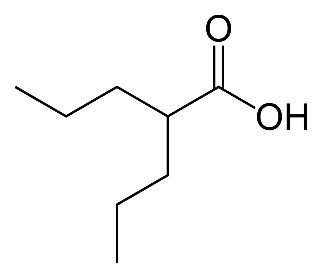 حمض الفالبوريك - Valproic acid - المعرفة