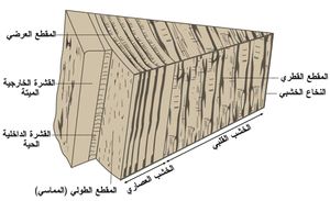 خشب - المعرفة