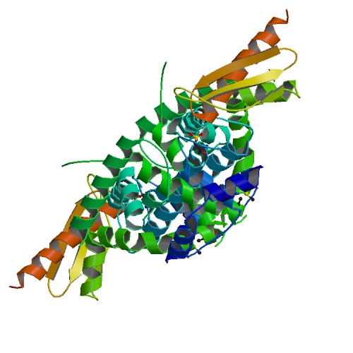 دايسر - المعرفة