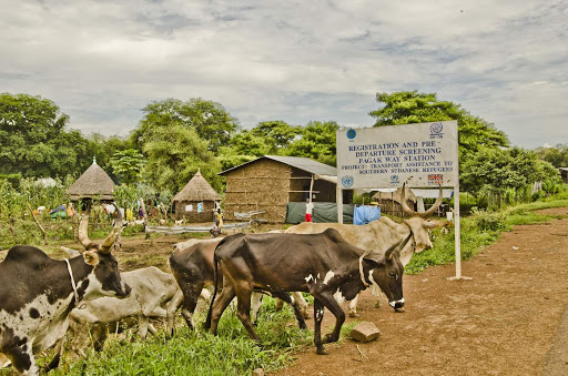 پگاك - المعرفة