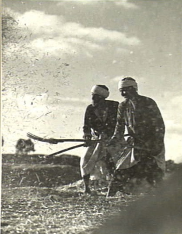 بيت جرجا - المعرفة