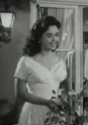 هالة شوكت - المعرفة