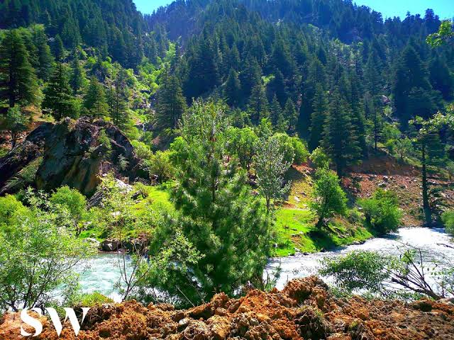 ولاية نورستان - المعرفة