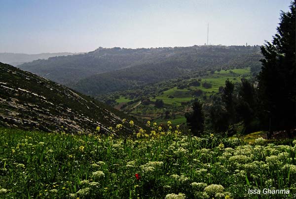 الأردن - المعرفة