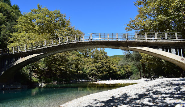 پوگوني Pogoni - المعرفة