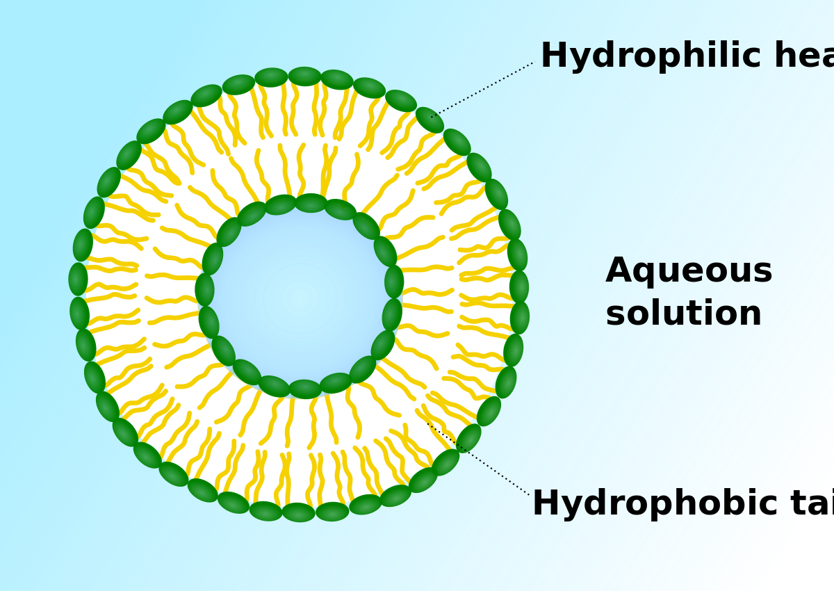 ملف:Liposome scheme-en.svg - المعرفة