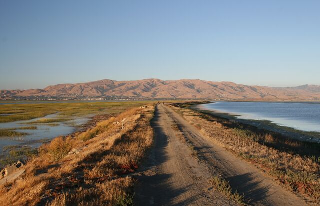 ملف:Alviso, San Jose 1.jpeg - المعرفة