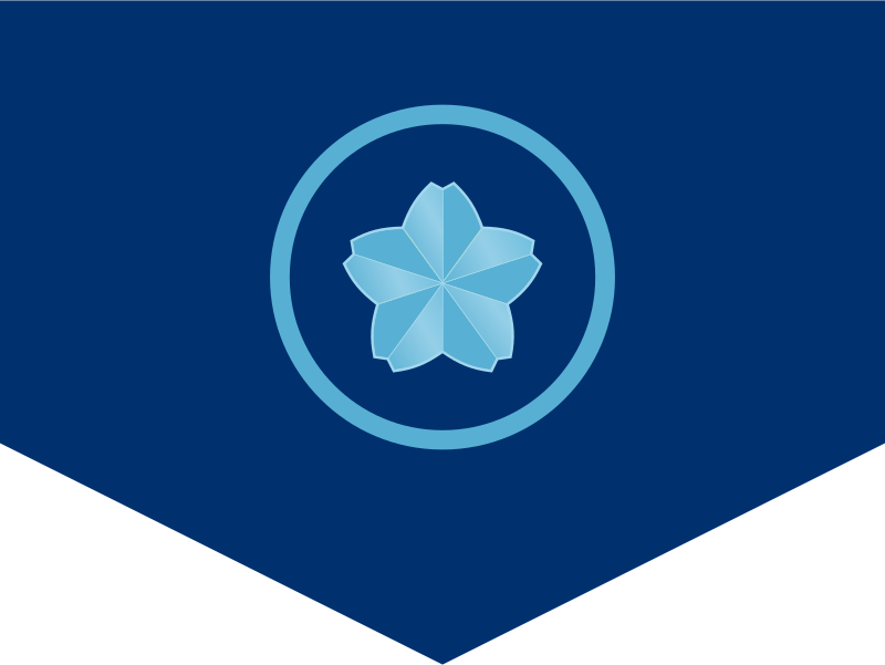 ملف:JASDF self defence official cadet insignia (a)1.svg - المعرفة