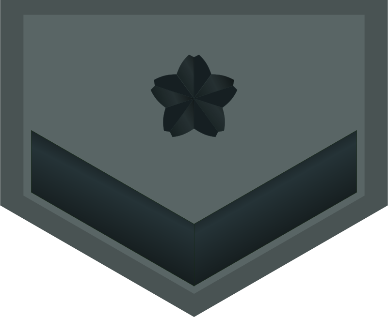 ملف:JASDF Airman 3rd Class insignia (miniature).svg - المعرفة