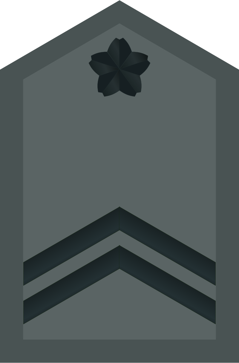 ملف:JASDF Technical Sergeant insignia (miniature).svg - المعرفة