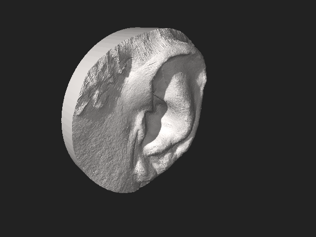 ملف:3D ear.stl - المعرفة