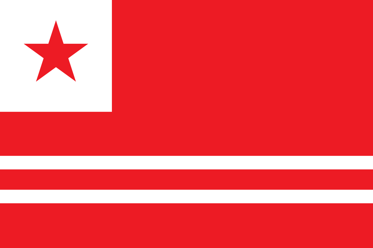 ملف:Proposed PRC national flag 004.svg - المعرفة
