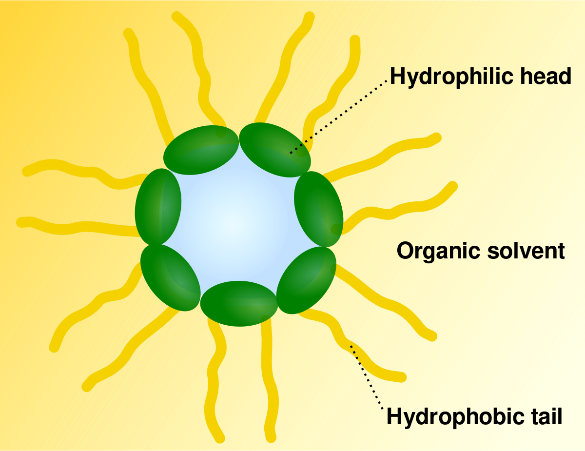 ملف:Micelle scheme2-en.svg - المعرفة
