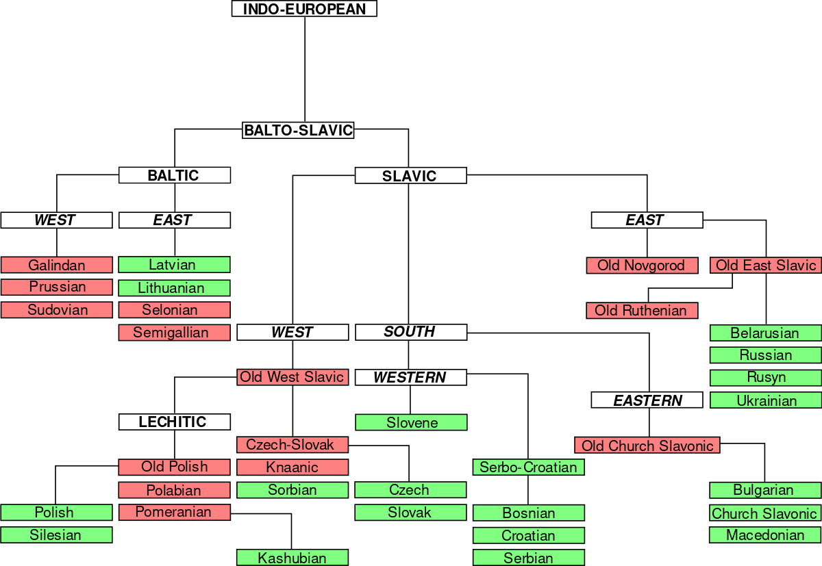 ملف:Slavic languages tree.svg - المعرفة
