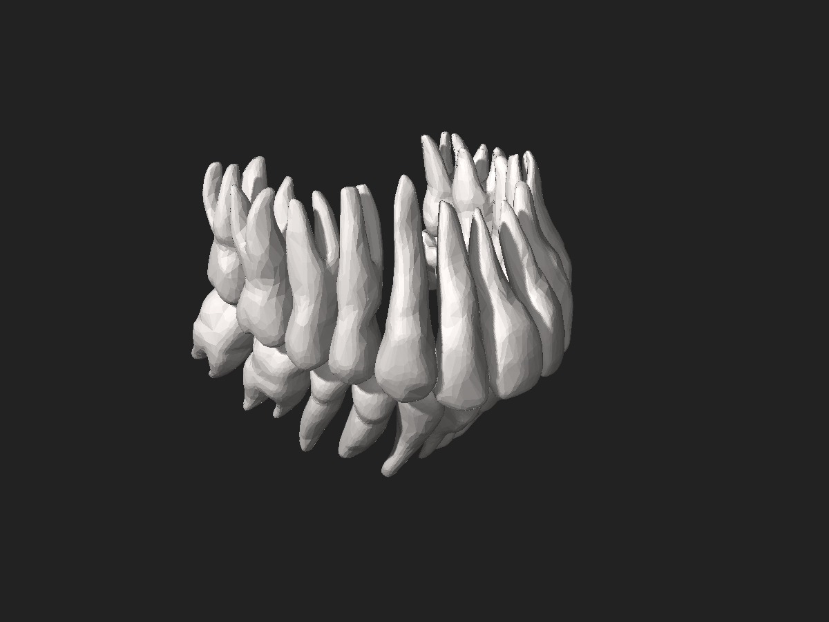 ملف:BodyParts3D Tooth.stl - المعرفة
