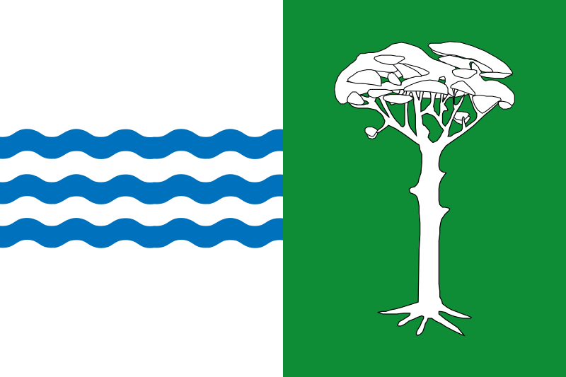 ملف:Bandera de Pedro Rodriguez.svg - المعرفة