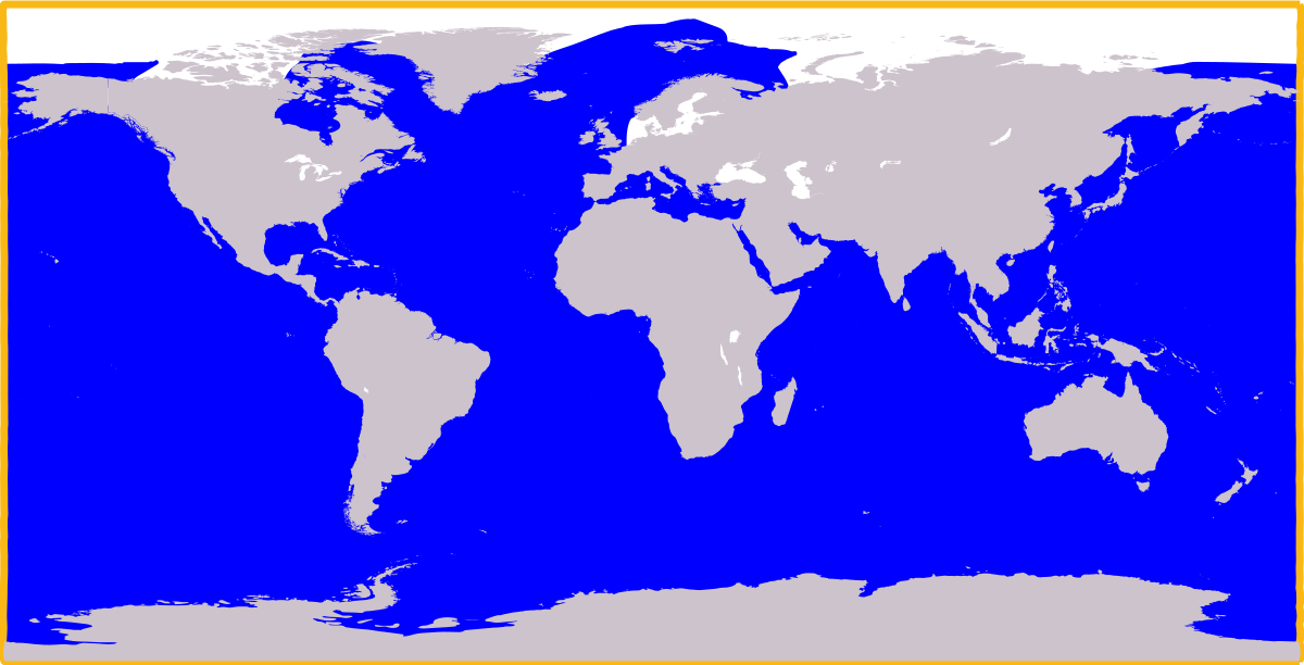ملف:Killer Whale Range Map.svg - المعرفة