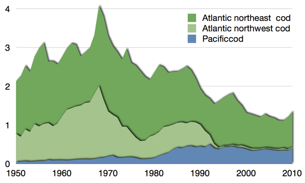 قد (سمك) - المعرفة