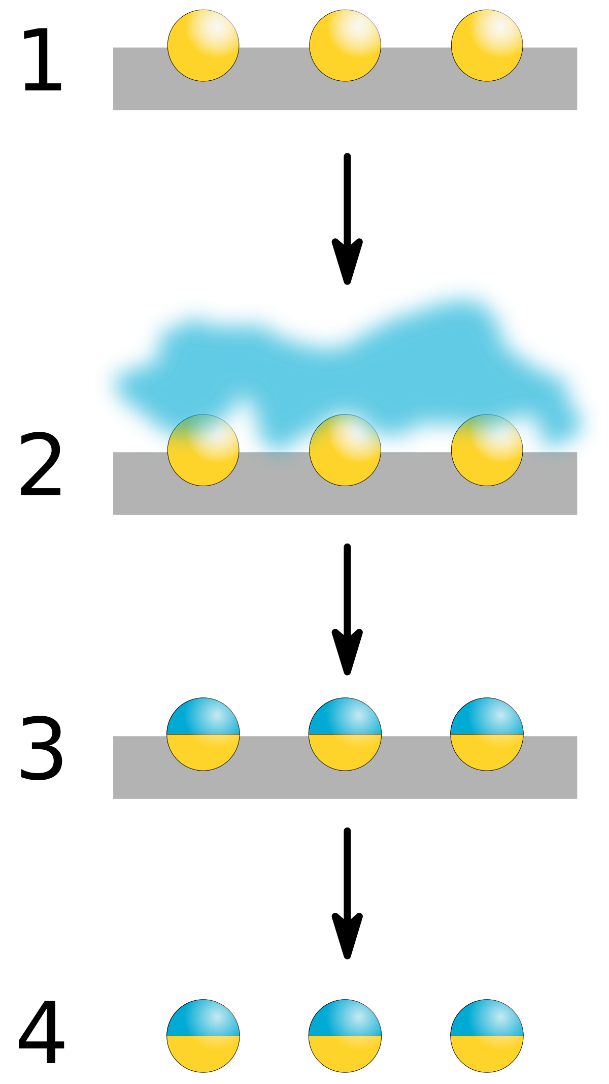 ملف:Masking janus particles.svg - المعرفة
