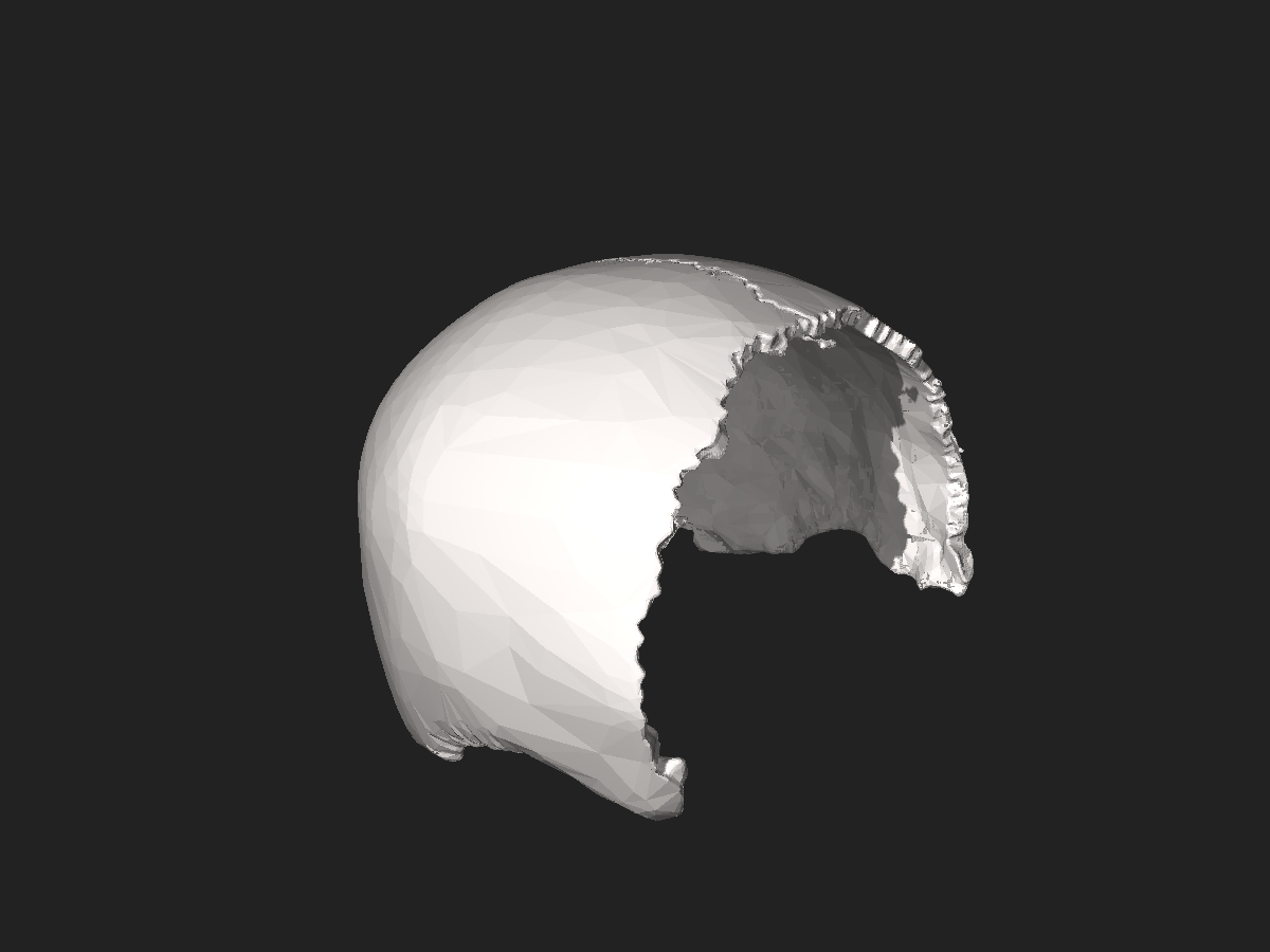 ملف:BodyParts3D FJ6385 FJ6472 Parietal bone.stl - المعرفة