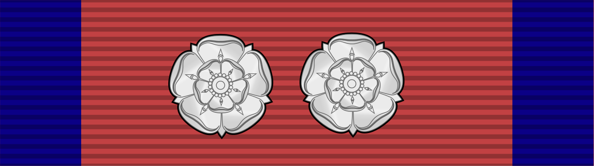 ملف:Distinguished Service Order Ribbon - with two bars.svg - المعرفة