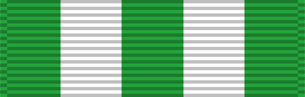 ملف:Prison Cross for Distinguished Service BAR.svg - المعرفة