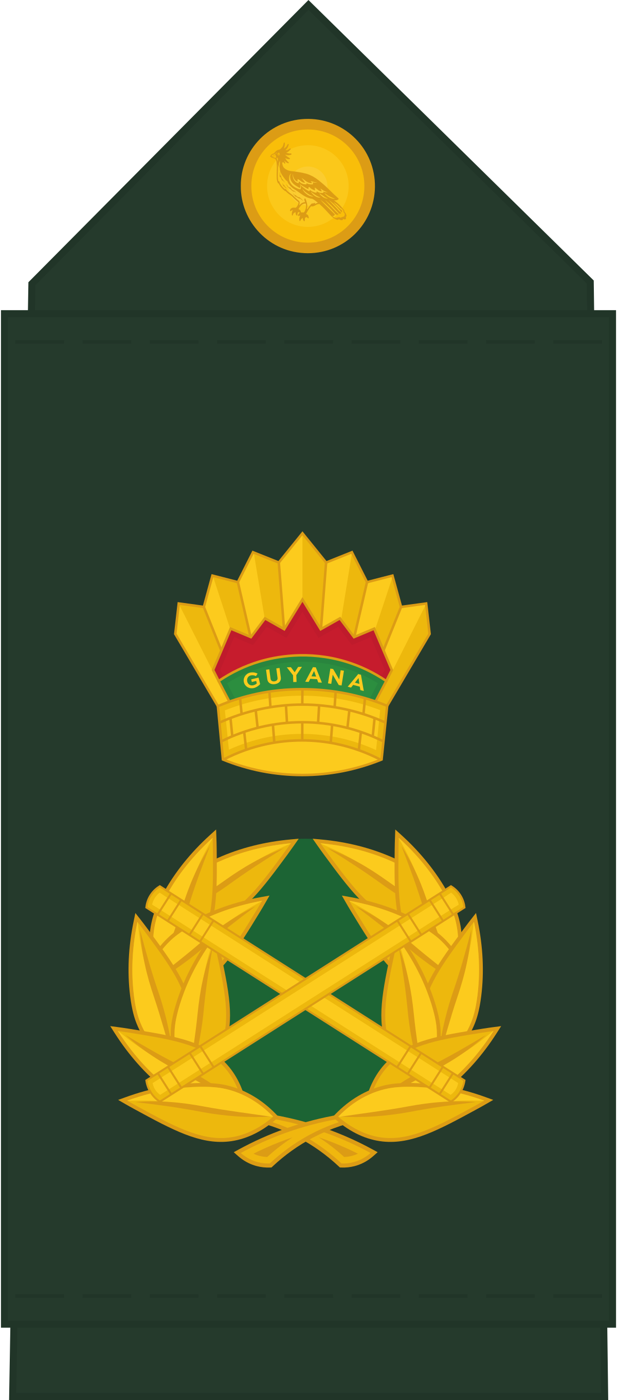 ملف:Guyana Defence Force (GDF) Commander in Chief rank insignia.svg ...