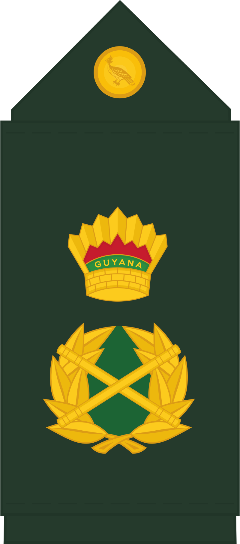 ملف:Guyana Defence Force (GDF) Commander in Chief rank insignia.svg ...
