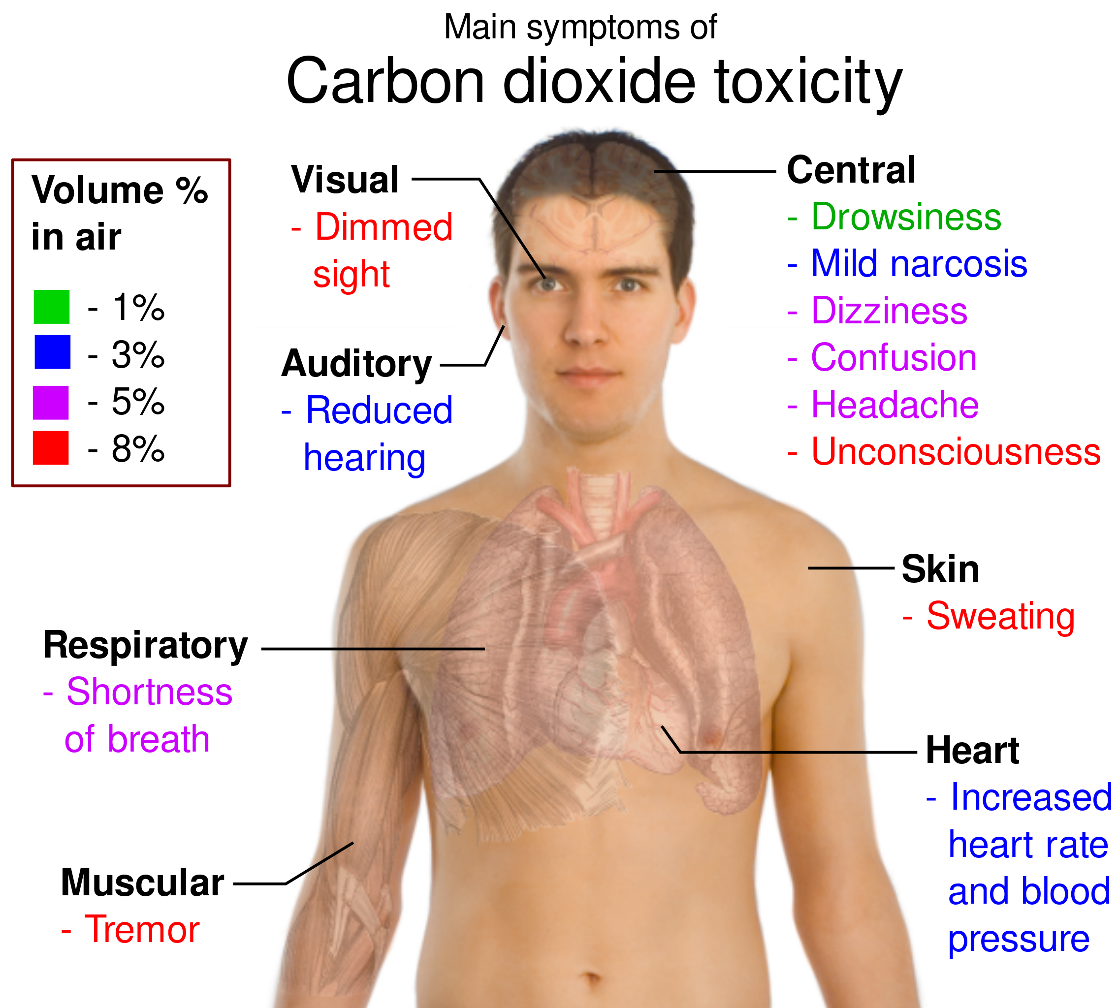 ملف:Main symptoms of carbon dioxide toxicity.svg - المعرفة