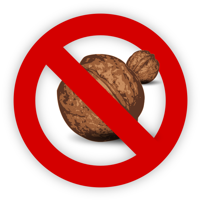 ملف:Tree-nut-995054.svg - المعرفة