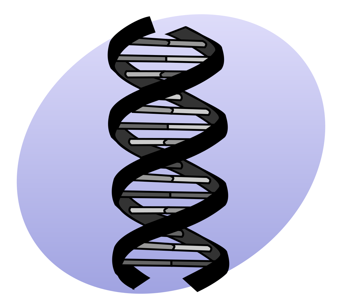 ملف:P genetics.svg - المعرفة