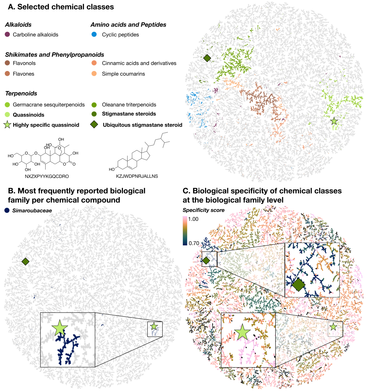 ملف:Lotus initiative 1 biologically interpreted chemical tree.svg - المعرفة