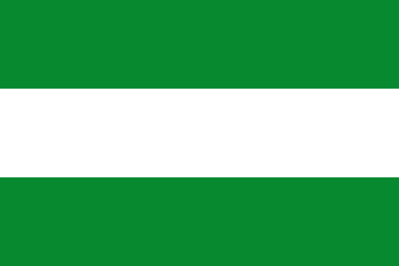 ملف:Flag of Cesar.svg - المعرفة