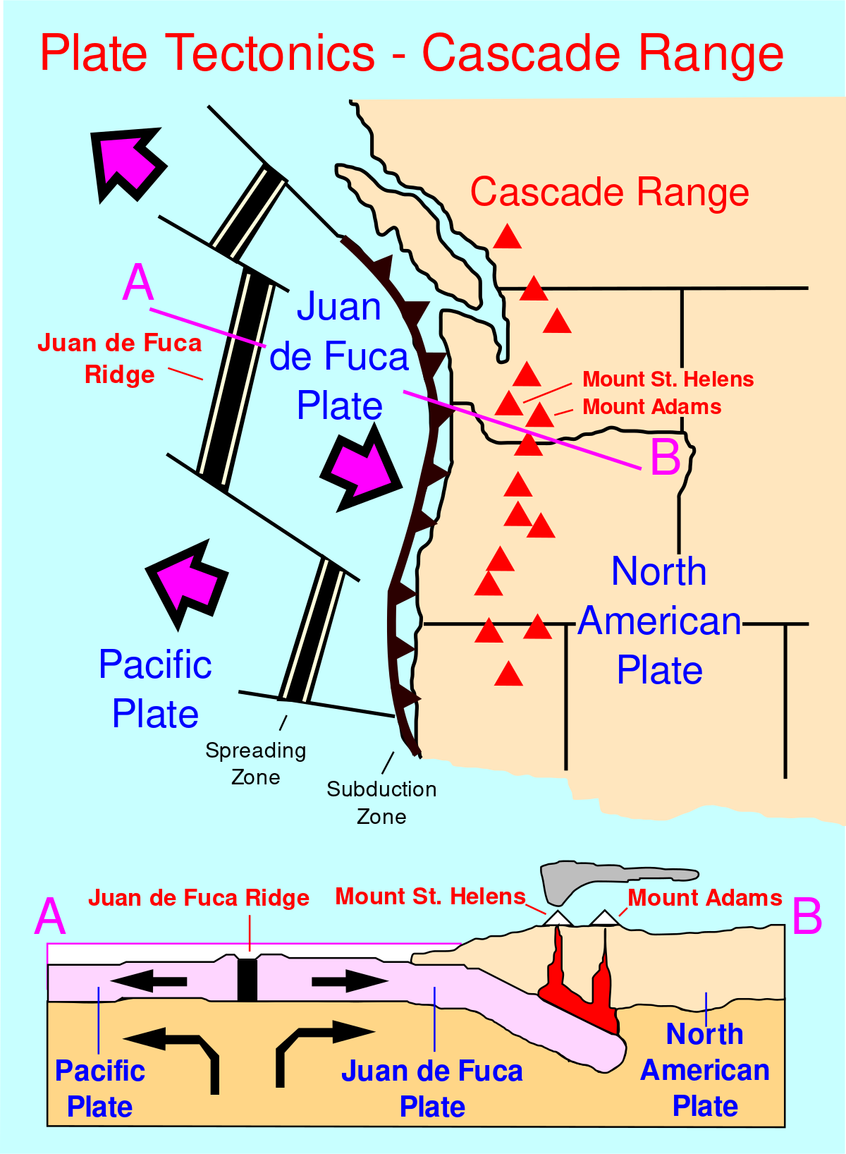 ملف:Cascade Range related plate tectonics-en.svg - المعرفة