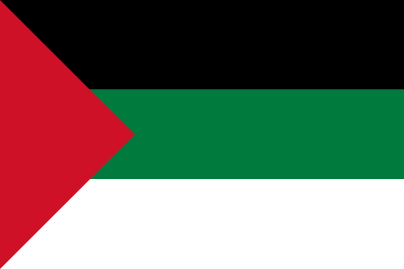 ملف:Arab Revolt flag.svg - المعرفة