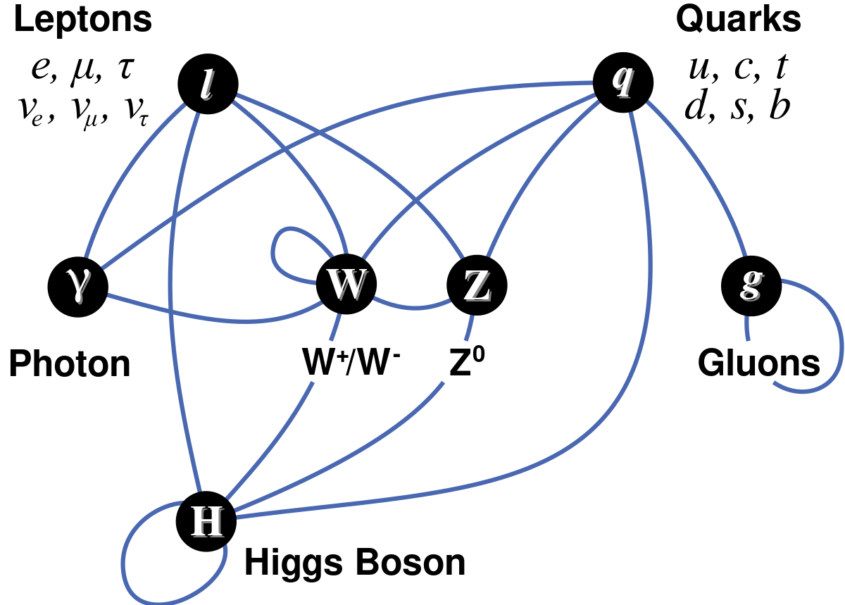 ملف:Elementary particle interactions.svg - المعرفة