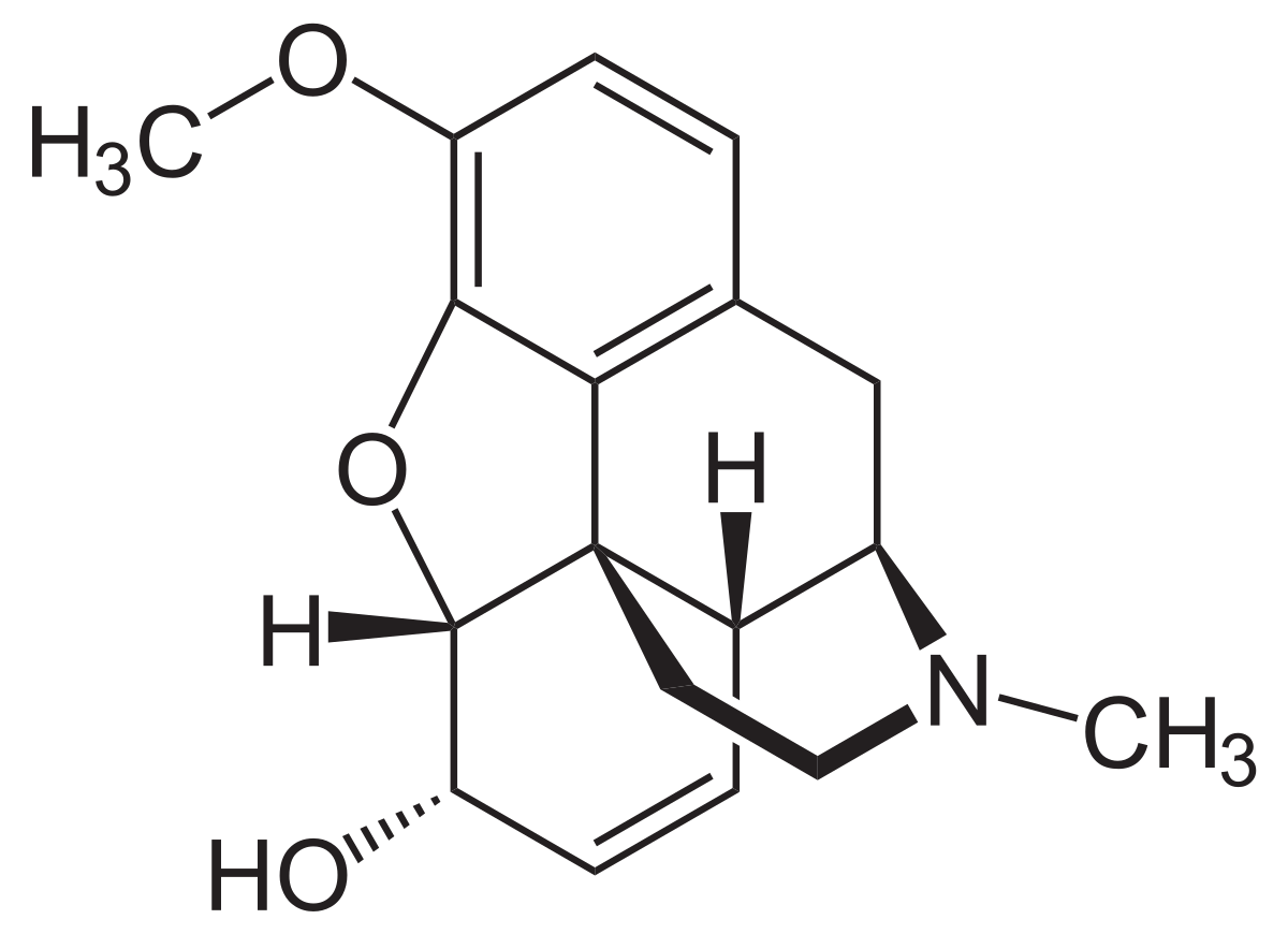 ملف:Codein - Codeine.svg - المعرفة