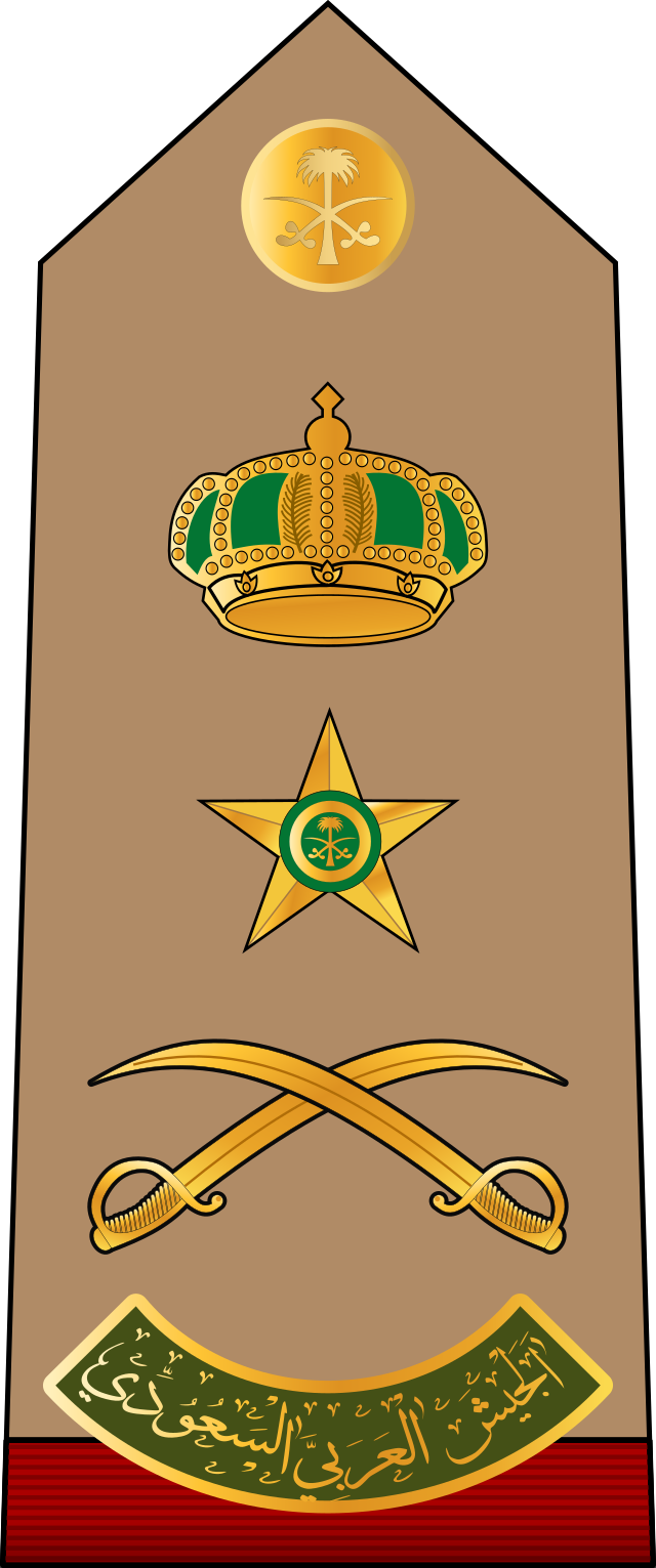 ملف:17.RSA-LG.svg - المعرفة