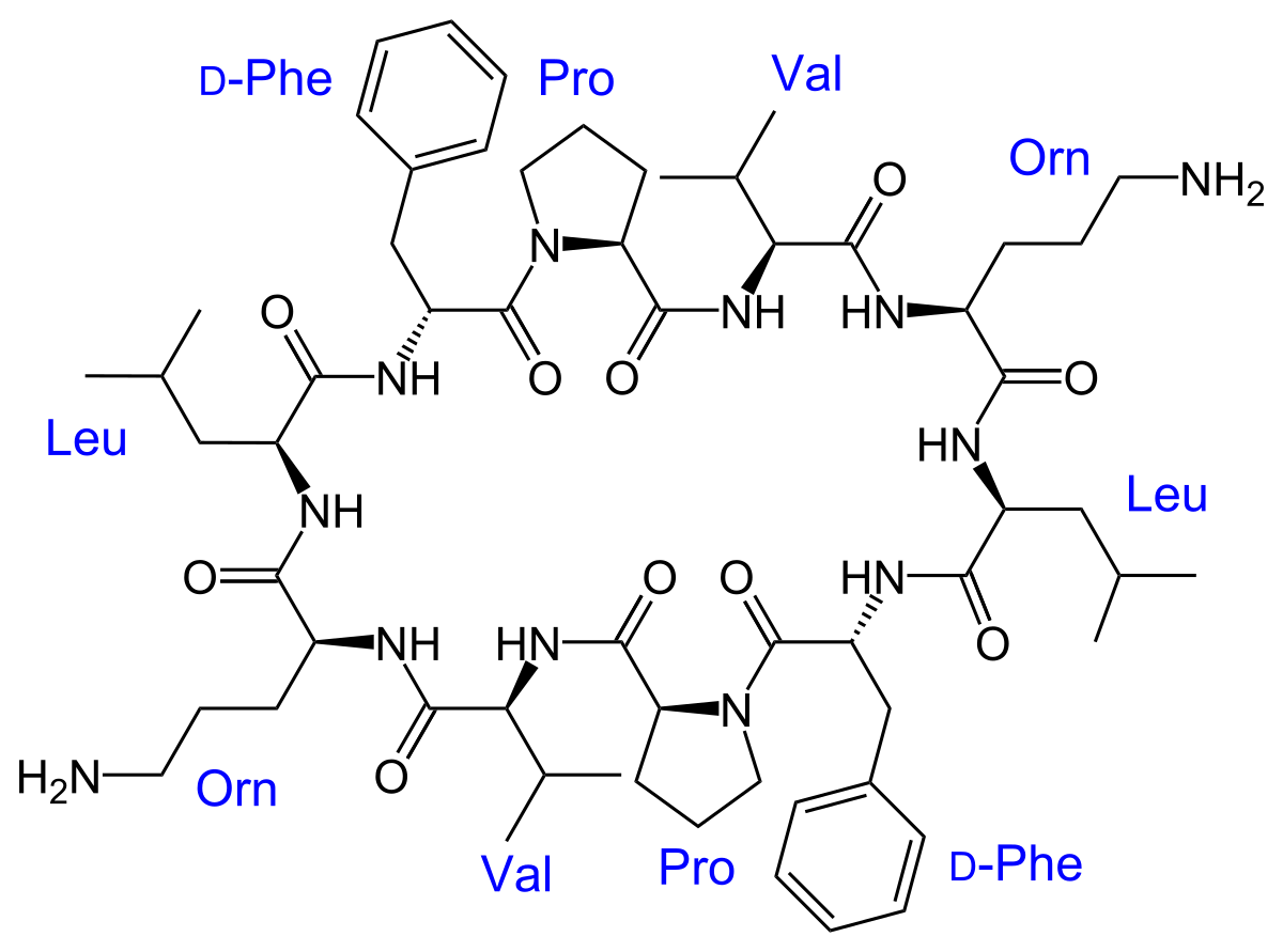 ملف:Gramicidin S.svg - المعرفة