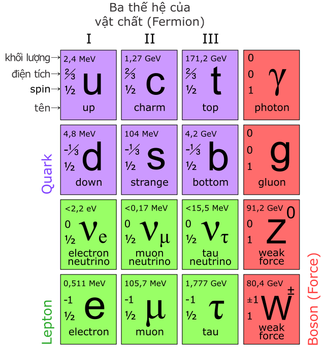 ملف:Standard Model of Elementary Particles-vi.svg - المعرفة