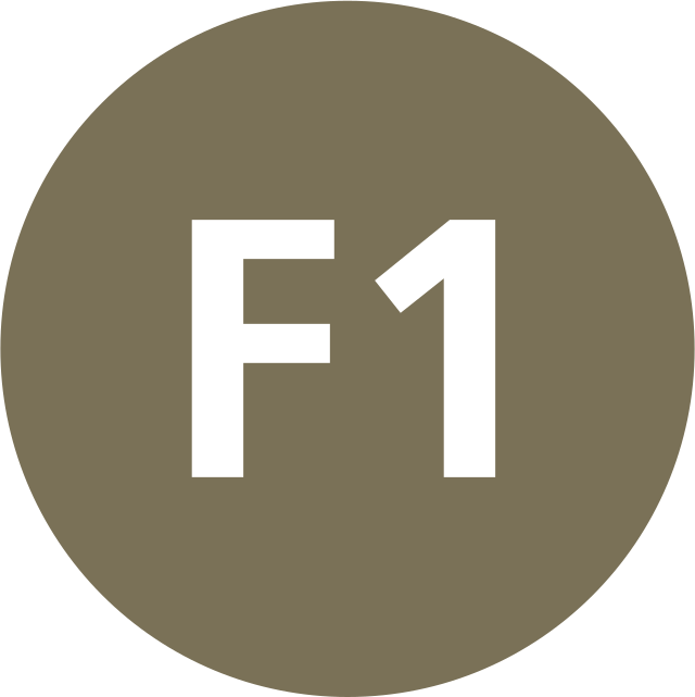 ملف:Istanbul F1 Line Symbol.svg - المعرفة