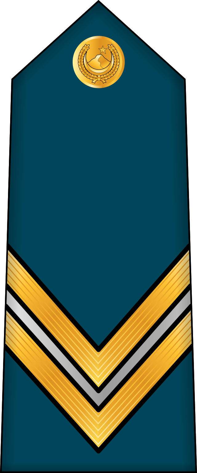 ملف:04.AlgAF-SSG.svg - المعرفة