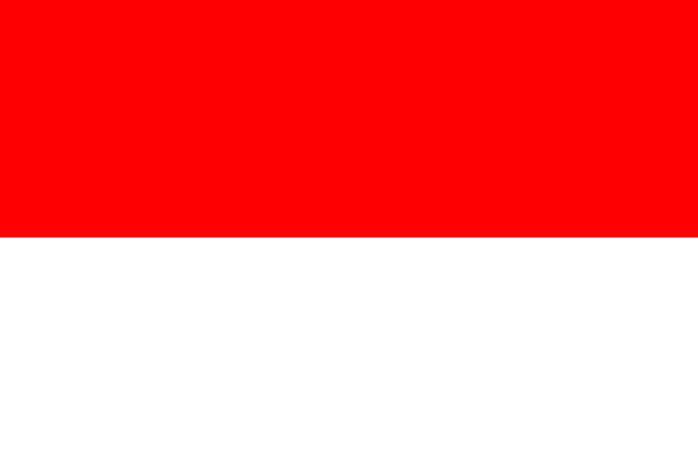 ملف:Flag of Chiquitos Province.svg - المعرفة