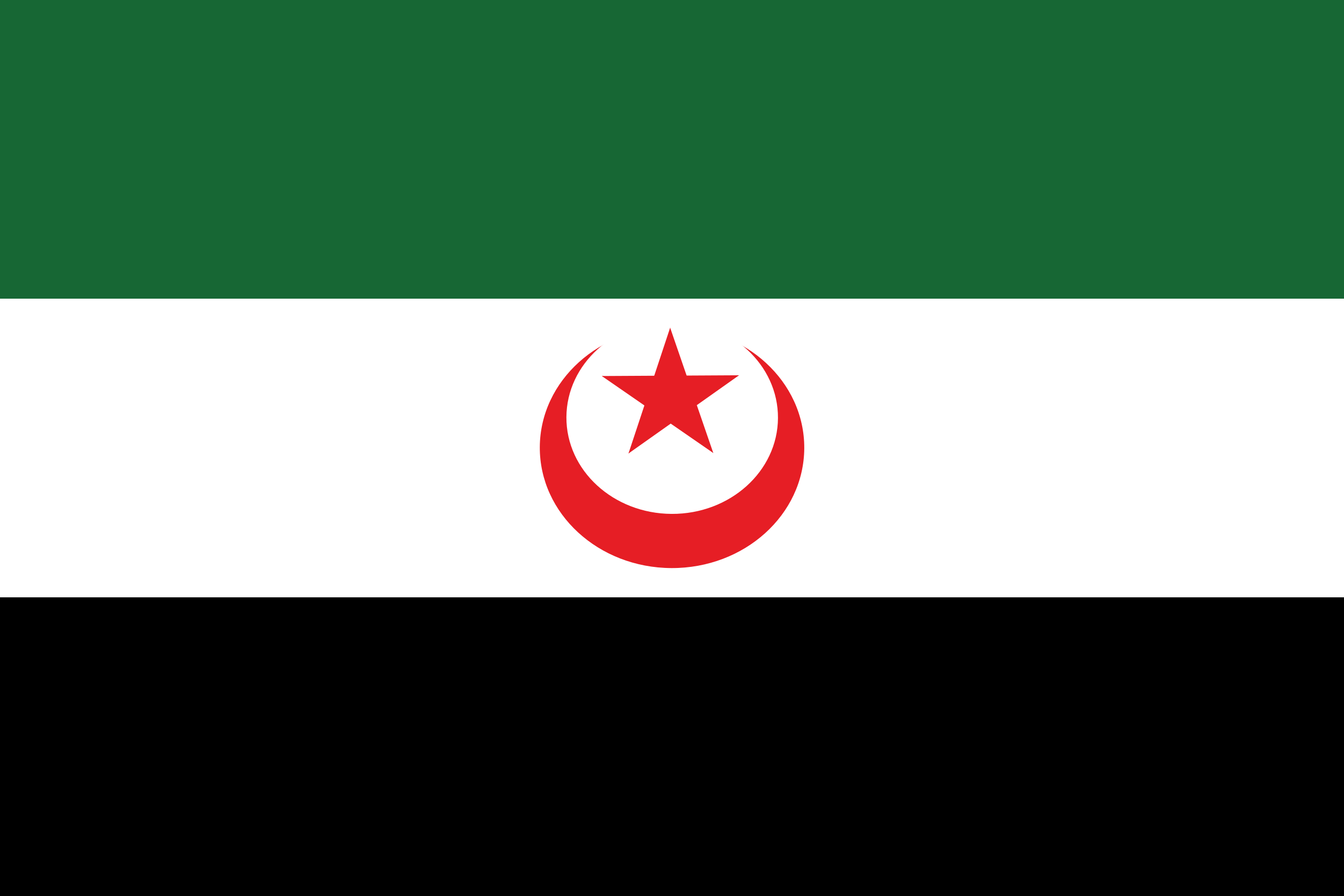 ملف:Flag of the Arab Movement of Azawad.svg - المعرفة