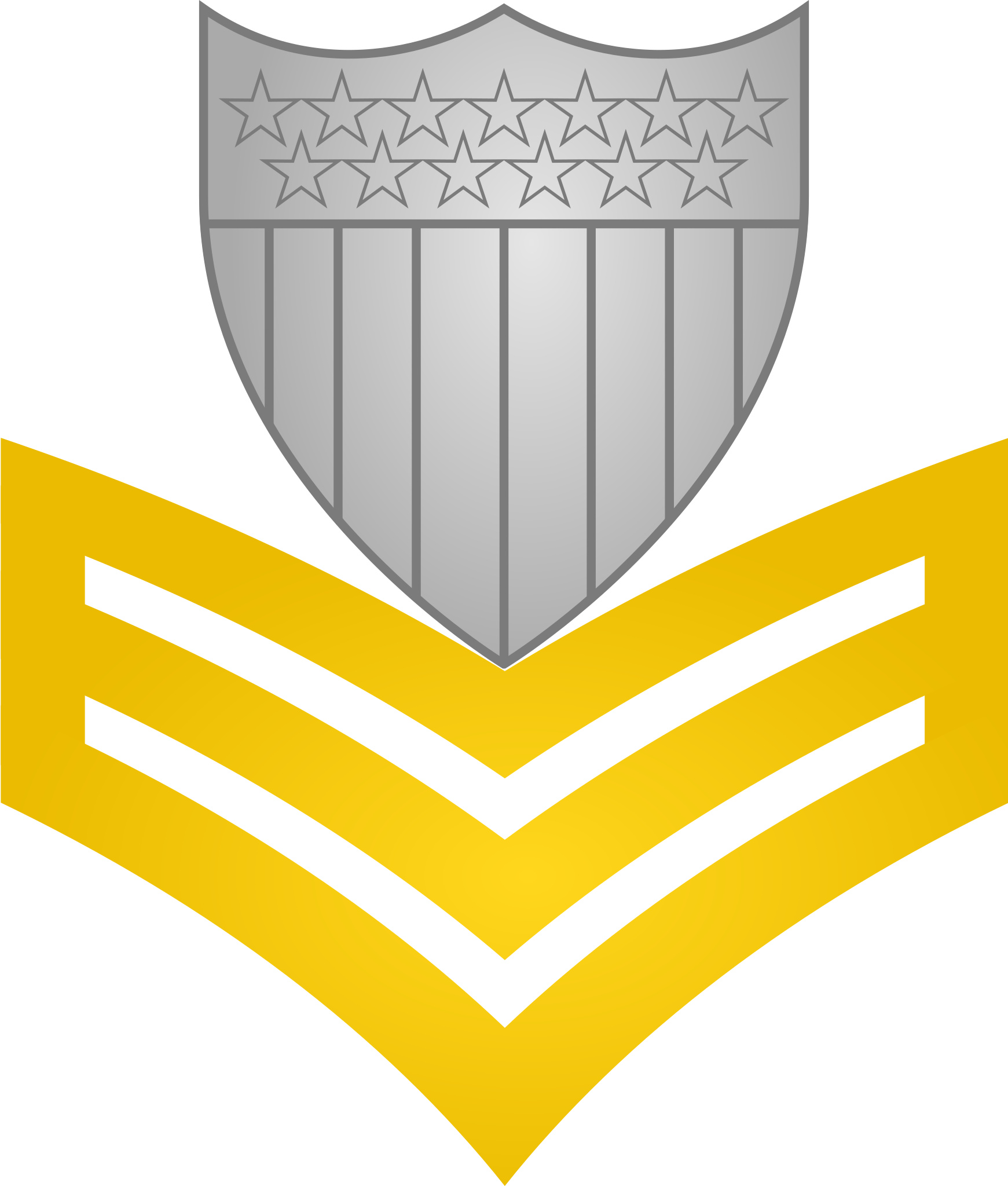 ملف:Insignia of a United States Coast Guard petty officer first class ...