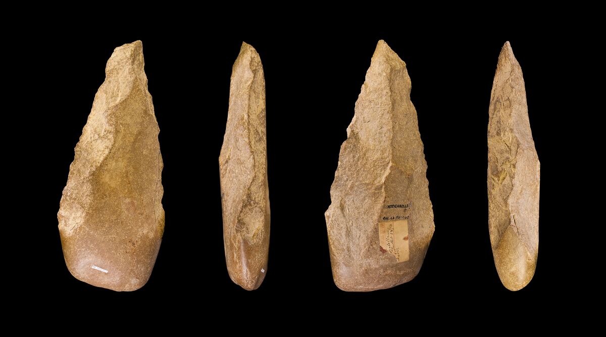 Australopithecus Garhi Tools