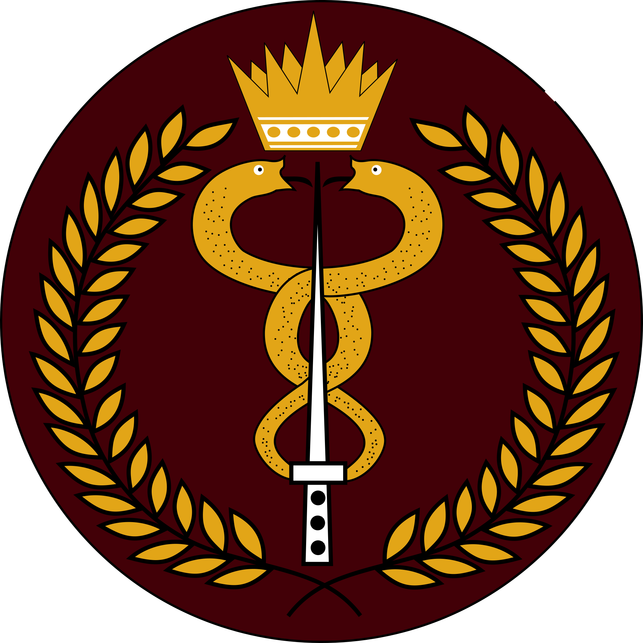 ملف:Insignia of the Bahrain Defence Force Royal Medical Services.svg ...