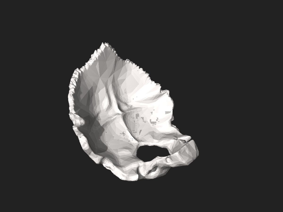 ملف:BodyParts3D FJ6411 Occipital bone.stl - المعرفة