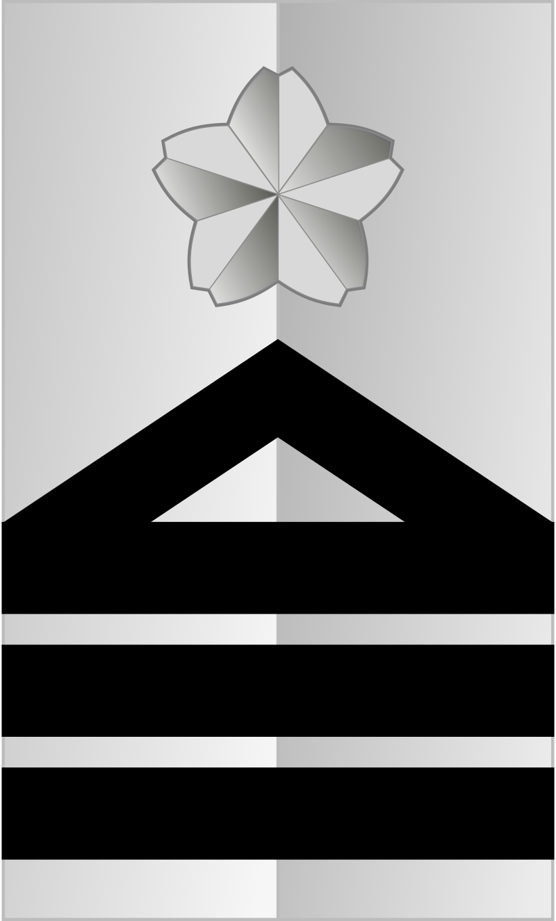 ملف:JASDF Senior Master Sergeant insignia (a).svg - المعرفة