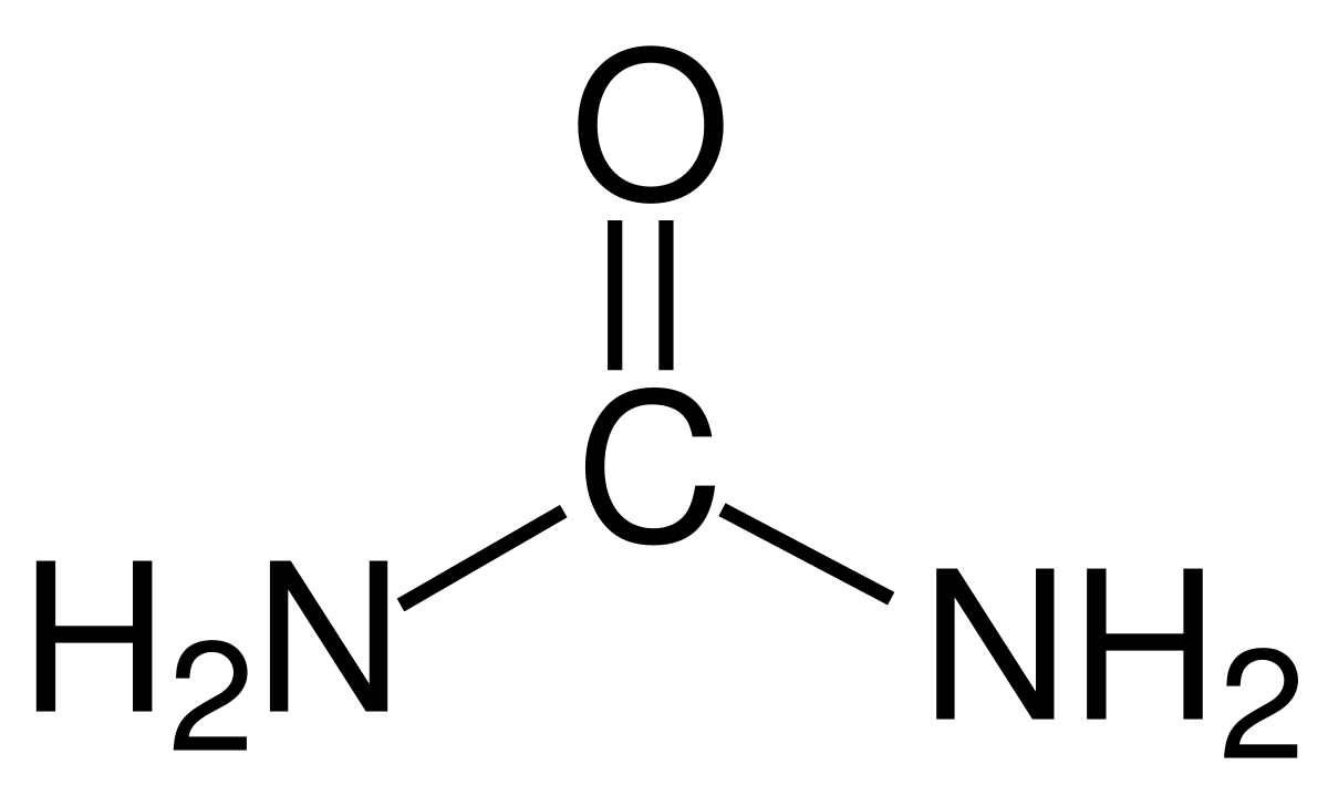 ملف:Urea Structural Formula V2.svg - المعرفة